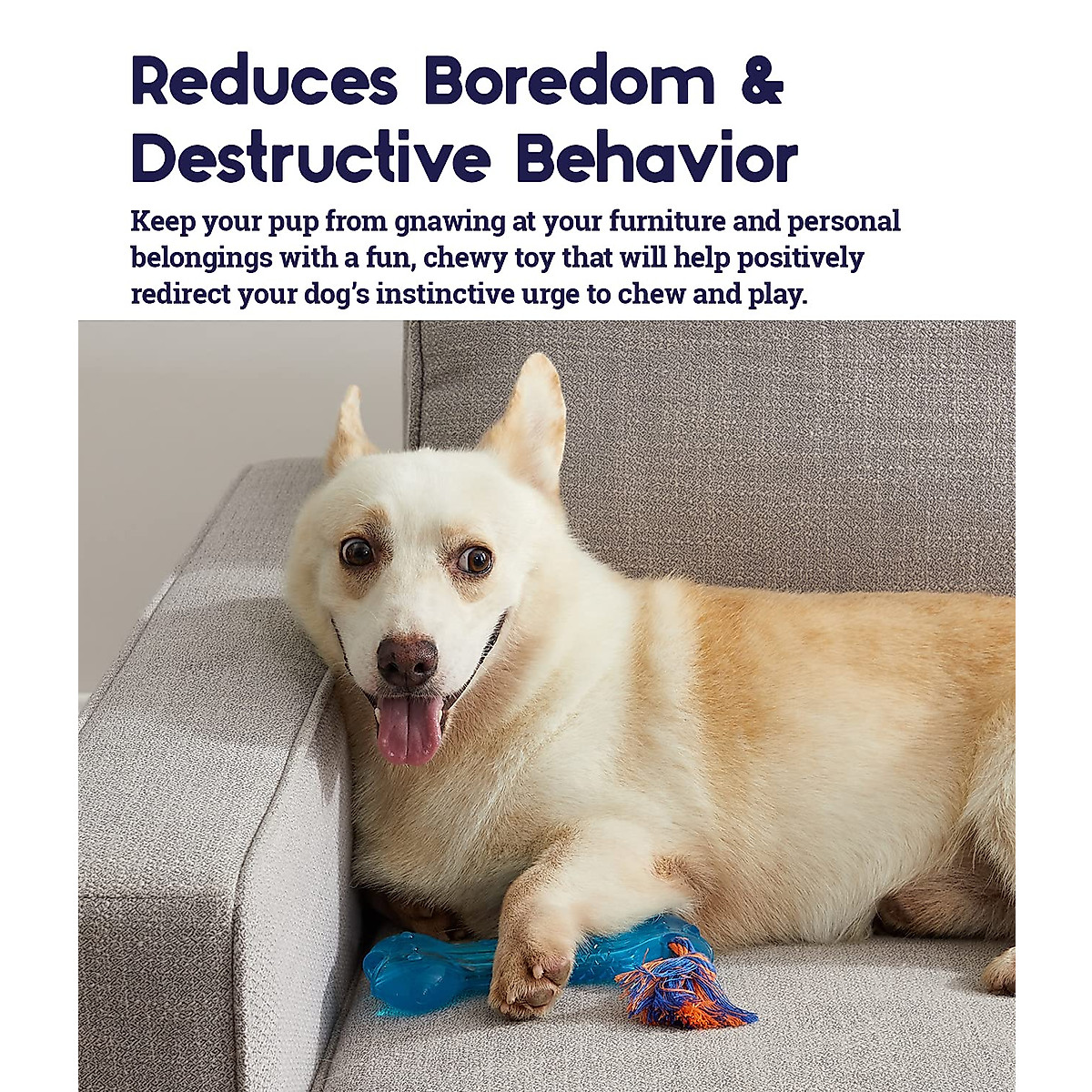 Petstages Orka Bone Royal Blue Treat-Dispensing Dog Chew Toy