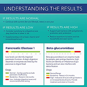 Innovative Pet Lab Digestion & Detox at-Home Test Kit - Expert Panel Insights for Dog's Microbiome and Digestive Health - Essential Pet Supply for Overall Wellness