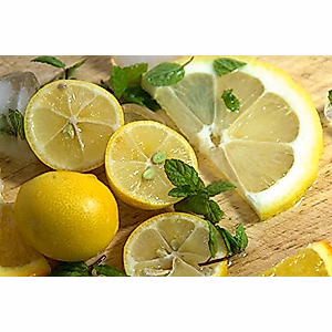 30pcs Lemon Tree Seeds for Planting, Non-GMO Heirloom and Organic, High Survival Rate Fruit for Home Garden