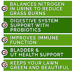 GOODGROWLIES Grass Treats for Dogs - Dog Pee Lawn Repair - Grass Burn Spots Caused by Dog Urine - Grass Rocks with Probiotics + Digestive Enzymes, Cranberry - Made in USA - 120 Soft Chews