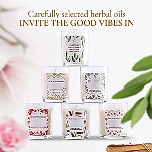 Magnificent 101 Gift KIT Set of 6 Candles