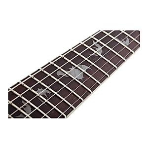 Schecter Damien Platinum 6 with Floyd Rose - Satin Black