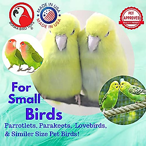 Bonka Bird Toys 1977 Sneaker Snowflake Bird Toy Durable Chew Treat Foraging Ball Parrot, Parrotlet, Quaker, Cockatiel, African Grey, and Similar pet Birds.