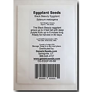 Black Beauty Eggplant Seeds - Solanum Melongena - 0.5 Grams - Approx 100 Gardening Seeds - Vegetable Garden Seed