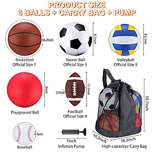 Libima 6 Pcs Multi Sport Ball Set Official Size Football, Basketball, Soccer, Volleyball, Playground Ball, Baseball with Sports Equipment Bag Pump for Teen Adult Christmas(Classic Style)