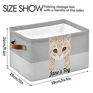 Custom Cat Toy Bin Box Collapsible Storage Cube with Handles Personalized Puppy Supplies