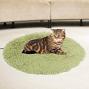 plplaaoo Electric Blanket, Electric Blanket, Hand Warmer, Plush Four Seasons USB Charging Interface Pet Heated Blanket Heating Mat Mat for Small Dogs Cats(gr¨¹n)