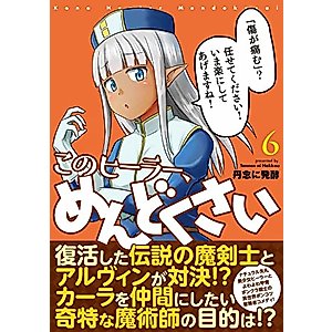 このヒーラー、めんどくさい 6 (MFC)