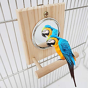 Hamiledyi Bird Mirror with Wooden Perch,Birdcage Fun Platform Stand Toys