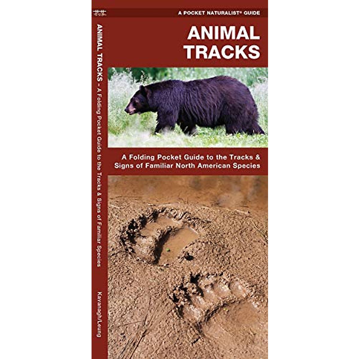 Animal Tracks: A Folding Pocket Guide to the Tracks & Signs of Familiar North American Species (Nature Observation North America)