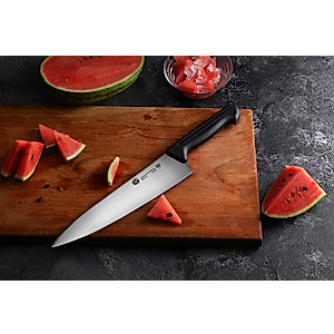 Top Cut by Cangshan P2 Series 1020519 Swedish 14C28N Steel Chef Knife, 10-Inch