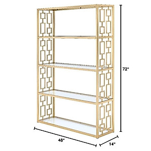 ACME Blanrio Bookshelf - - Gold & Clear Glass