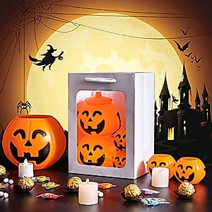 Dasofine 12pcs White Gift Bag with Window, Sturdy Paper Tote with Transparent Window, 7.1"×5.1"×9.8" Paper Gift Bags with Handles, Flower Bouquet Bags