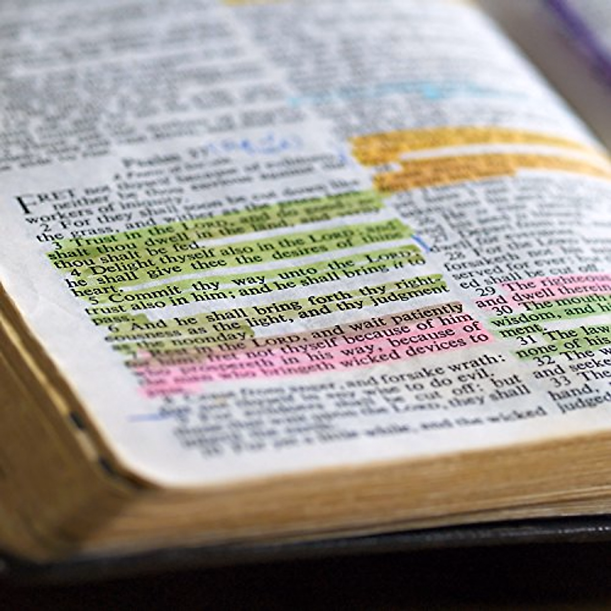 U.S. Office Supply Bible Safe Gel Highlighters, Pack of 16 - 2 Sets of 8 Bright Neon Fluorescent Highlight Colors Yellow, Orange, Pink, Purple, Green, Blue - Won't Bleed, Fade or Smear - Study Guide