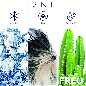 Freo 6,000 BTU Window Conditioner | Ultra Quiet | Energy Star | LED Display | Follow Me Remote | Dehumidifier | Adjustable Air Flow | AC for Rooms up to 250 Sq. Ft | FHCW061AUQ, 1.5 pints/h, White