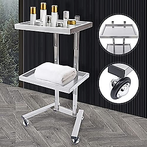 DNYSYSJ Beauty Salon Stand Rolling Cart, 2 Tier Spa Beauty Machine Holder Trolley, Salon Storage Trolley Stand, for Salons Studios Shops Medical Shops and Dentists