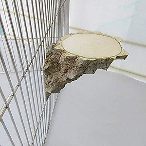 Pet Hamster Jumping Platform Natural Wood Perch Stand Platform Bird Playground Jump Platform for Mouse Chinchilla Rat Gerbil Parakeet Budgie Cockatiel Cage Chew Toy