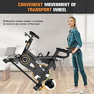 Indoor Cycling Bike Stationary, VIGBODY Exercise Bike Ipad Holder with LCD Monitor Comfortable Seat for Home Cardio Workout Indoor Fitness Training Bike
