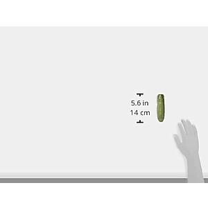 Yodeling Pickle: A Musical Toy, Fun for All Ages, Great Gift, Hours of Mindless Entertainment