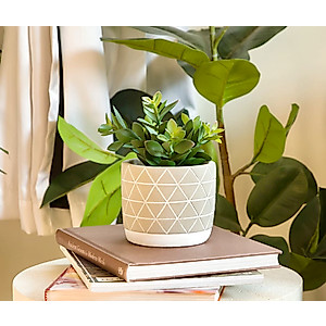 Kurrajong Farmhouse Artificial Plant | 8" Fake Plant for Desk Decor | Artificial Succulent in Pot | Fake Succulent | Faux Plant Indoor | Succulent Plant Artificial | Faux Succulent for Shelf Decor