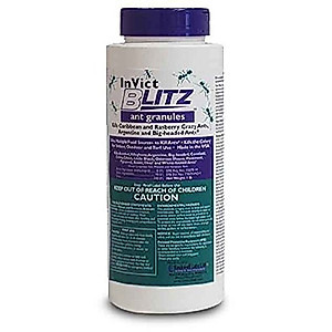 Rockwell Invict Blitz Ant Granules for Crazy Ants and More!