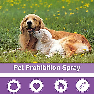 YOUTHINK Pets Pheromone Calming Spray,Improve Estrus Agitation Spray Pet Anxiety Relief Spray for Cats Dogs
