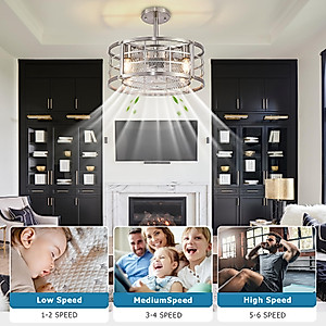 Doltoro Caged Ceiling Fans with Lights and Remote, Industrial Flush Mount Ceiling Fans Light, Small Enclosed Ceiling Fan for Bedroom Kitchen (Brushed Nickel)