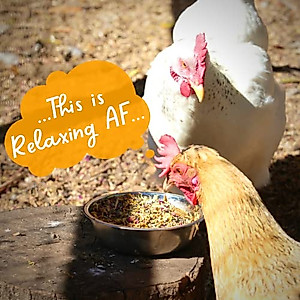 Happy Trees Chicken Nesting Herbs - 100% Natural Blend of 7 Premium Dried Herbs for Fresh Nest Box, Coop and Run - Bulk 1lb. Bag