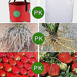 Grow Bags 3 Gallon for Strawberry Vegetables 12 Planting Holes, Sturdy Hanging Handle Thickened Breathable Felt Cloth, Plant Grow Bag for Carrot Onion Tomato Potato Roses