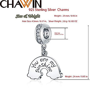 Meet the Rainbow After Rain Sunshine Cloud Rainbow Charm, Pendant Beads, 925 Sterling Silver Charms with Multicolor CZ Stones Compatible with Pandora Bracelet, Gifts for Women/Wife/Mother/Sister