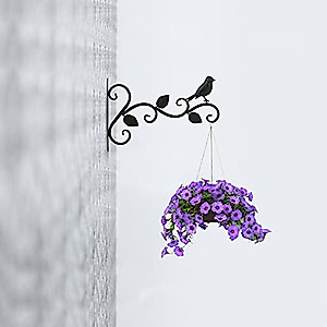 GANAZONO Outdoor Decor House Plants Plant Hanger Bracket Wall Hook Plants Bracket Rustic Iron Wall Hooks Metal Wall Shepherds Hook for Hanging Lanterns Coats Sconces Outdoor Decor House Plants