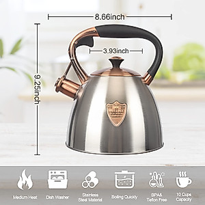 Tea Kettle -2.9 Quart Tea Kettles Stovetop Whistling Teapot Stainless Steel Tea Pots for Stove Top Whistle Tea Pot