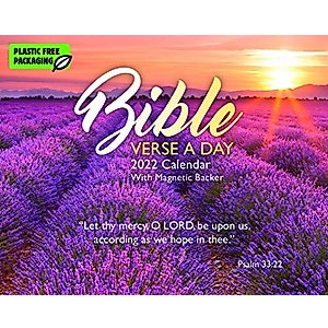 Bible Verse a Day 2022 Mini Boxed Calendar