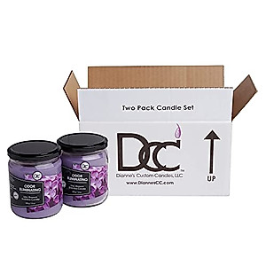 Lilac Blossom Two Pack Odor Eliminating Highly Fragranced Candle - Eliminates 95% of Pet, Smoke, Food, and Other Smells Quickly - Up to 80 Hour Burn time - 12 Ounce Premium Soy Blend