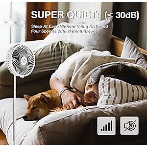 BC.HINGER 8-Inch Foldaway Oscillating Fan - Desk Table Fans Portable Air Circulator Travel Mini Fans Rechargeable Battery Operated, Pedestal Stand Floor Fan with Adjustable Height, 4 Speeds & Time Settings