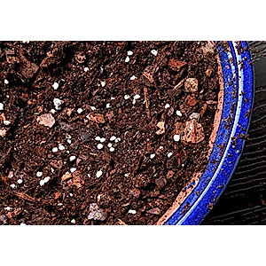 Bonsai Fertilizer Pellets by Perfect Plants - 5 Year Supply - All Natural Slow Release - Extended Enrichment for All Live Bonsai Tree Types