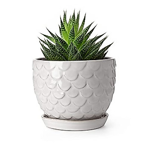 Greenaholics Owl Planters Ceramic Animal Plant Pots- 6.1 Inch White Succulents Aloe Planter Indoor Large Animal Flower Pots with Attached Tray and Drainage Hole for Cactus Snake Plant Decorative Gifts