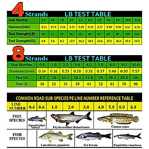 Braided Fishing Line Pesca 300M 8 Strands 4 Strands Carp Multifilament Fly Wire Japanese 100% PE Line Saltwater