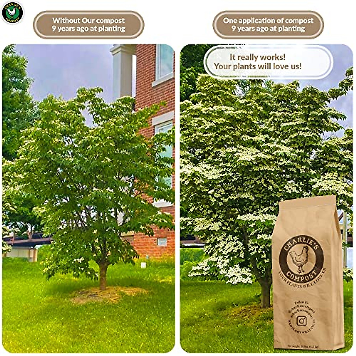 Charlie's Compost: Concentrated Organic Plant Fertilizer to Improve Garden Soil and Potting Soil in Fruit and Vegetable Garden - with Biochar (10lb)