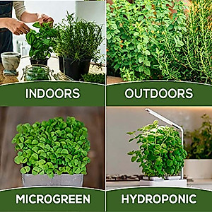 20 Most Needed Spice Seeds for Home Gardening - Kitchen & Culinary Herb Plant Seeds for Indoor, Outdoor, and Hydroponic Growing, Including Basil, Parsley, Rosemary, Mint & More