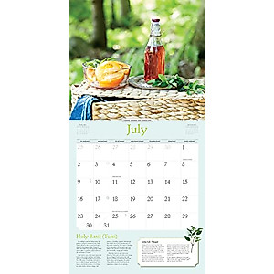 Rosemary Gladstar's Herbs Wall Calendar 2023: Recipes and Remedies for Health and Home