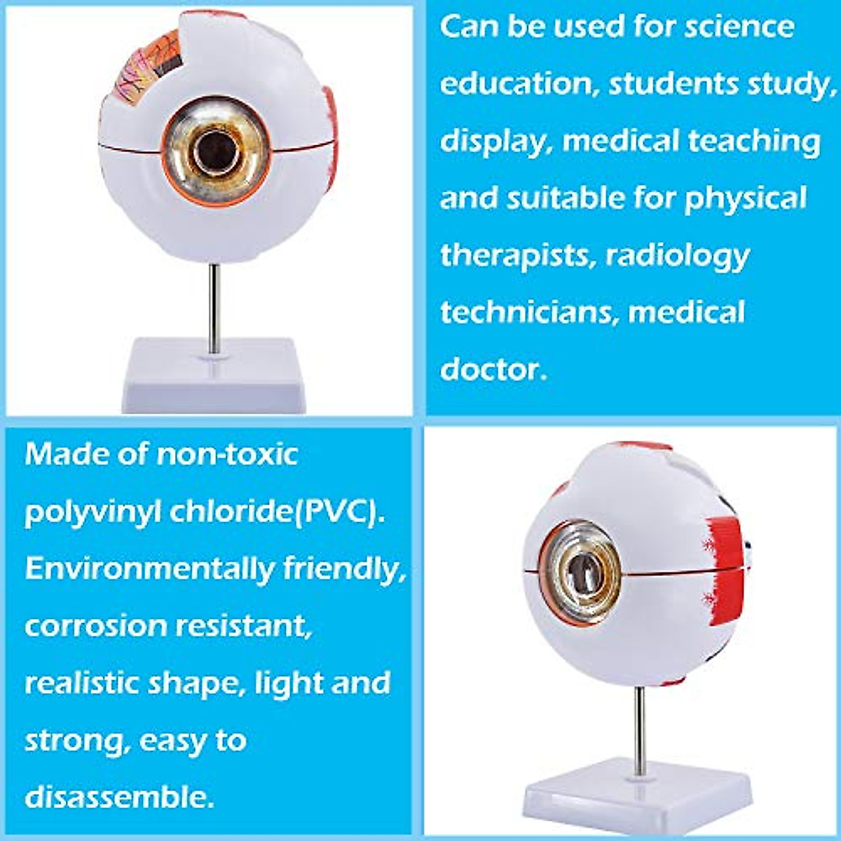 Eye Anatomy Model, 6X Enlarged Eyeball Model, Human Eye Anatomical Model for Science Education Students Study Display Medical Teaching, with Removable Stand