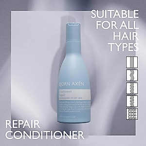 Björn Axén Repair Conditioner - Repairs Dry and Damaged Hair - Enriched with Organic Argan Oil, Minerals and Proteins - Hydrates Both Hair and Scalp - Vegan - Dermatologically Tested - 8.45 oz