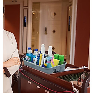 Ramddy Plastic Organizer Caddy, Carry Caddy with Handle, Gray, 4 Packs