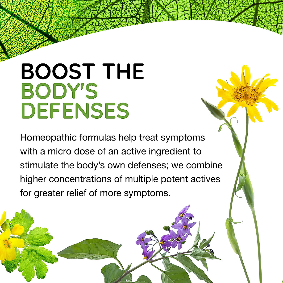 MediNatura T-Relief Pet Arthritis Pain Relief Arnica +12 Powerful Natural Medicines Help Reduce Hip & Joint Pain Soreness & Stiffness Fast-Acting Soother for Dog & Cat - 1.69 oz (2 Pack)