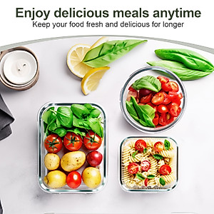 BAYZZ 30 Pieces Glass Meal Prep Containers, Airtight Glass Food Storage Containers, Glass Lunch Containers with Lids, Microwave and Dishwasher Friendly