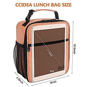 CCidea Lunch Box for Men Women Adults, Portable Insulated Lunch Bag for Office Work Picnic, Reusable Small Bento Lunch Box (Inulin)