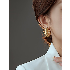 MYNENEY Croissant Earrings Twisted Round Hoop Earrings Chunky Hoop Earrings Silver/Gold Post Earrings Huggies for Women Great Birthday/Christmas Gifts