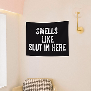 Haebfsl 29x37in Aesthetic Trippy Smells Like Slut In Here Tapestry For Bedroom And Living Room Decor