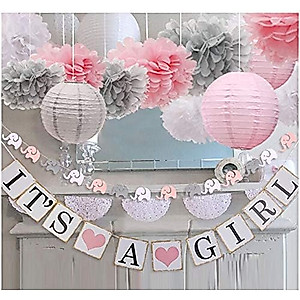 luckylibra Baby Girl Baby Shower Decorations, It is a Girl Banners and Paper Lantern Paper Flower Pom Poms （Pink White Grey）